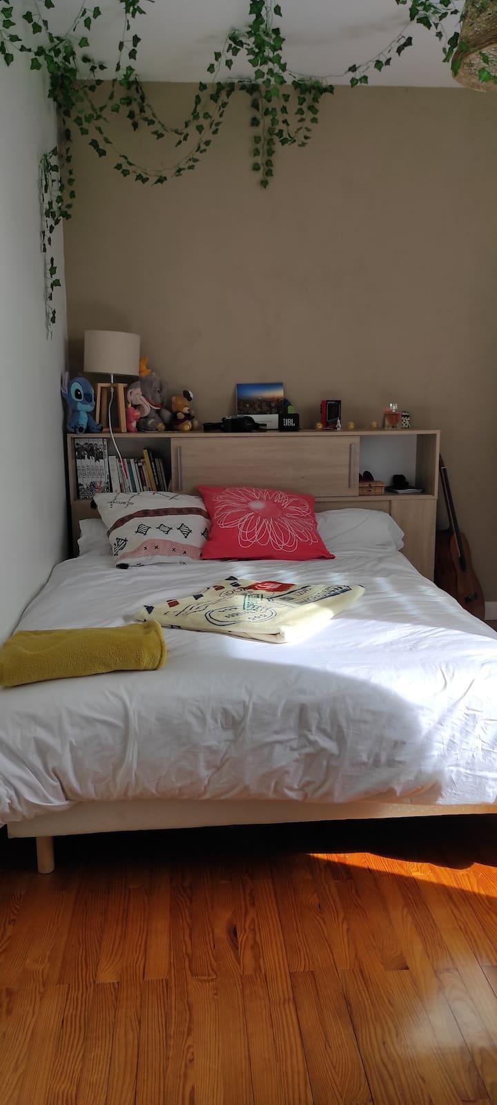 Entre Annecy Et Aix-les-bains - Rumilly