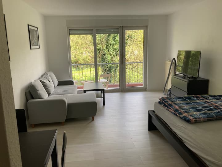 Schönes, Gemütliches Appartement In Stadtmitte - Sarrebruck
