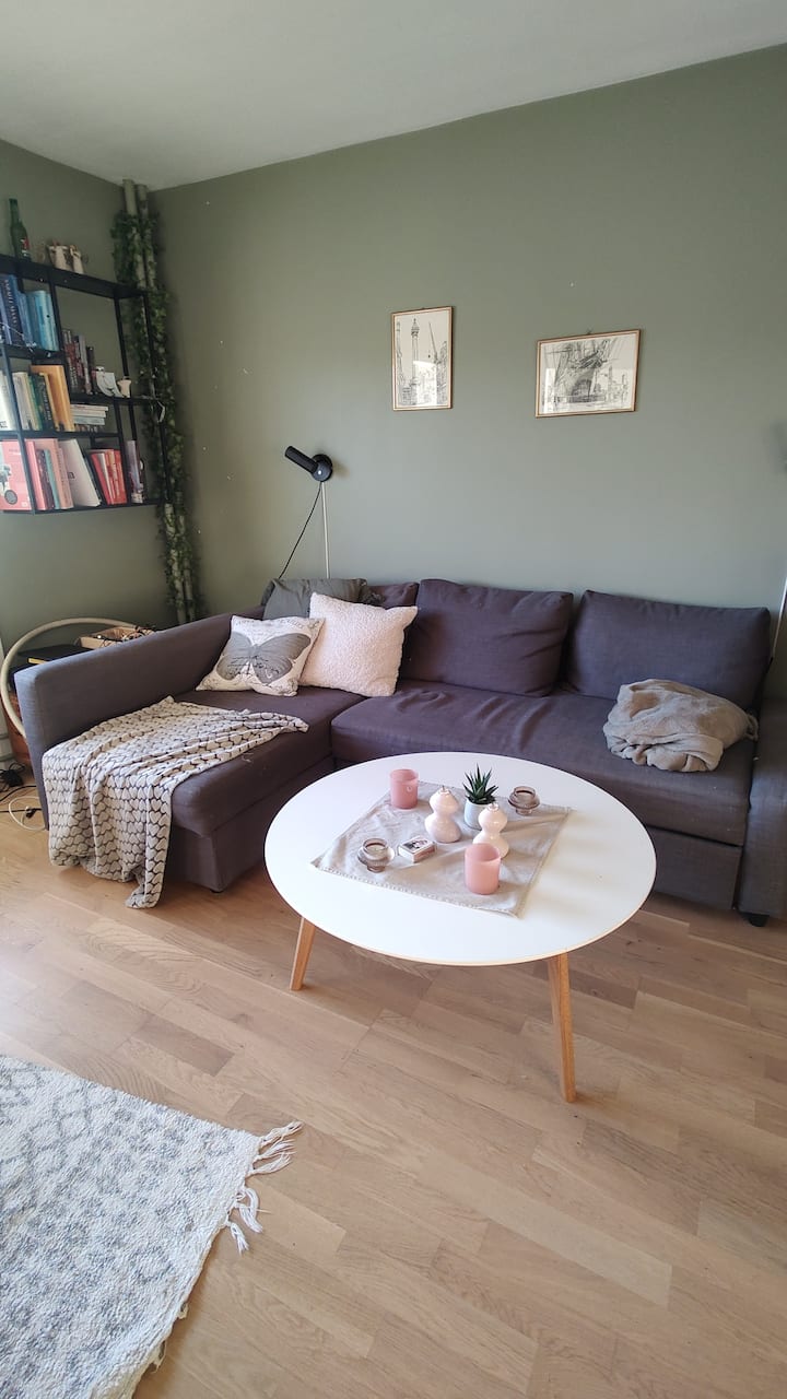 Sjarmerende Leilighet På Oppsal - Oslo
