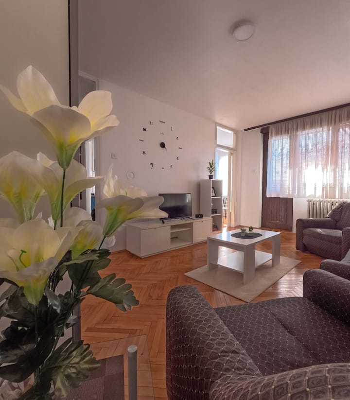 Newly Furnished 1-br Apartment - Kragujevac