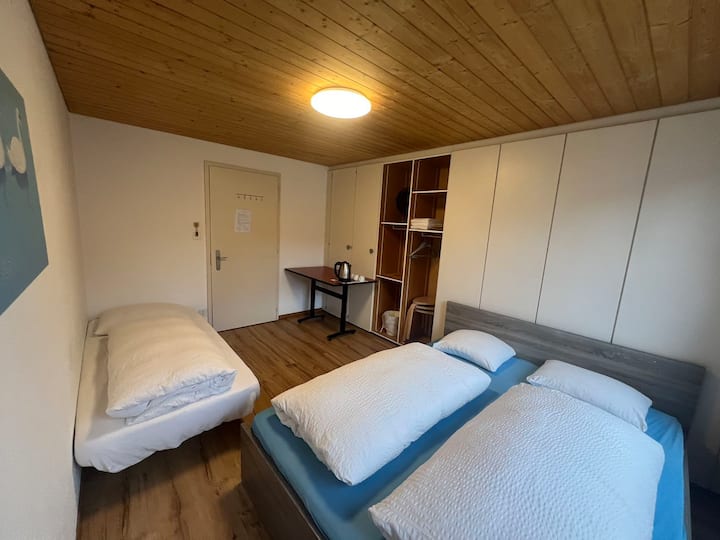 Near West Station Shared Bathroom D6 - Interlaken