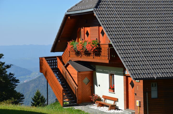 Apartment Srnca 2 - Cerkno