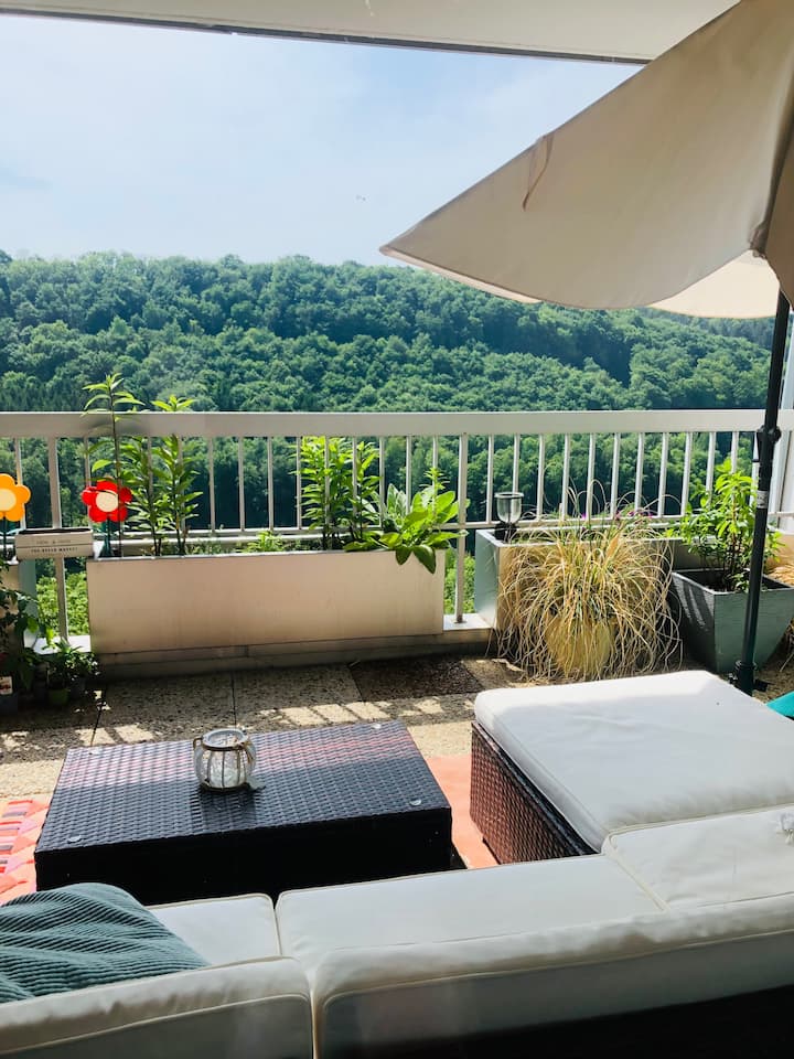 Belle Chambre Lumineux Luxembourg Pour Femmes. - Luxembourg City