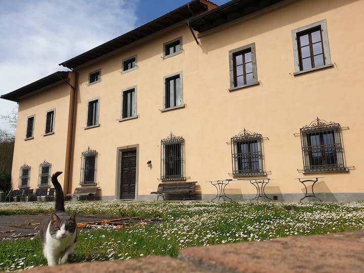 Villa Ottocentesca, Toscana. - 托斯卡納