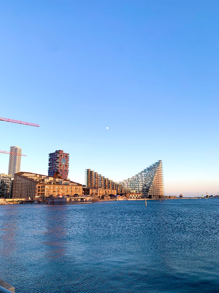 Stor Og Luksus Lejlighed Aarhus - Aarhus