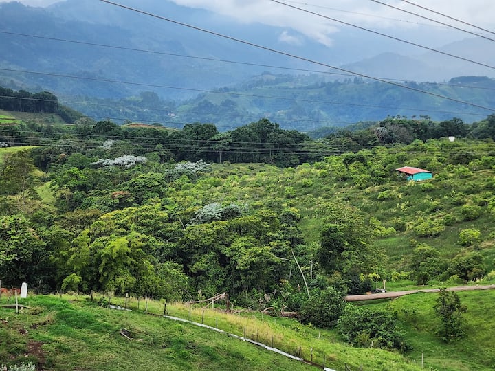 Relájate Pues! - Quindío