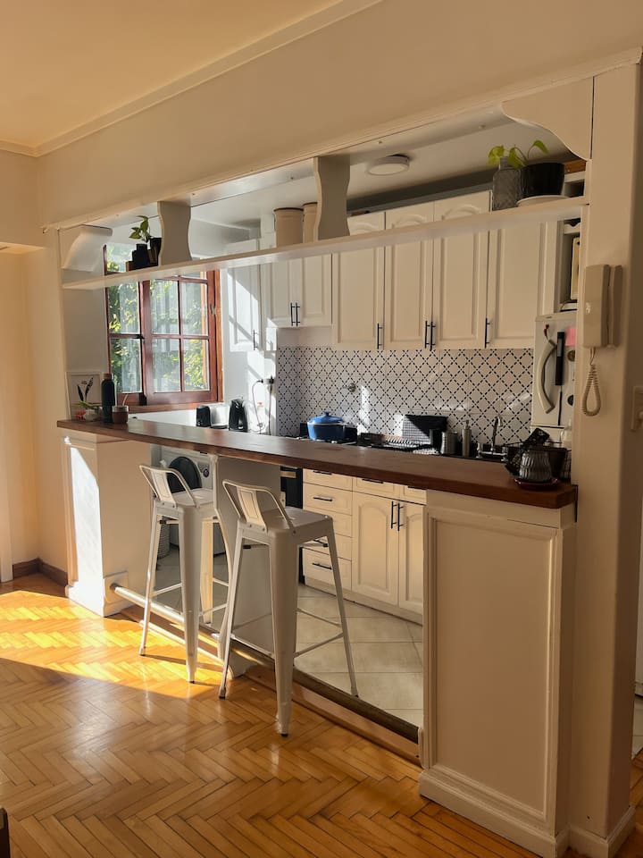 Acogedor 1bdr Palermo Soho - Buenos Aires