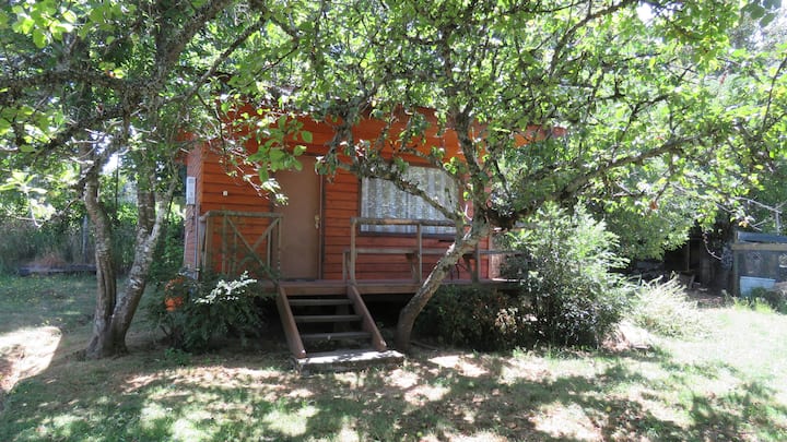 Acogedora Cabaña Mono Ambiente - Puyehue