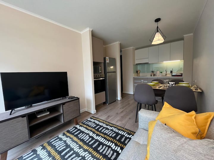 Paz Y Comodidad En El Centro De Santiago - Santiago