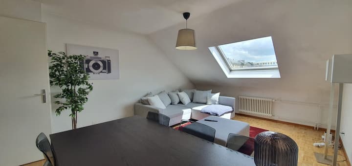 2br In Eaux-vives-jet D'eau View - Genève