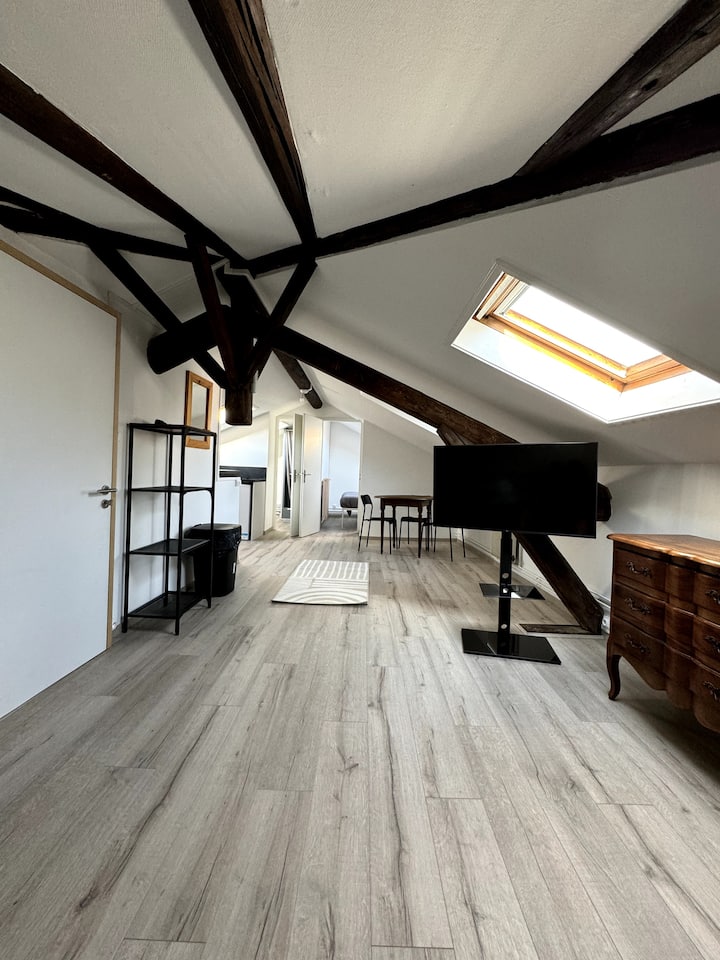 Appartement 4 Personnes à Nancy - Nancy