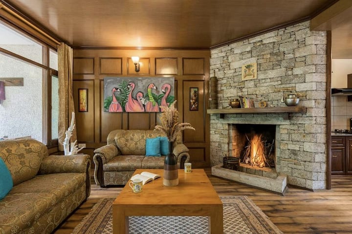 2 Bedroom Duplex Villa With Balcony And Parking - Manali