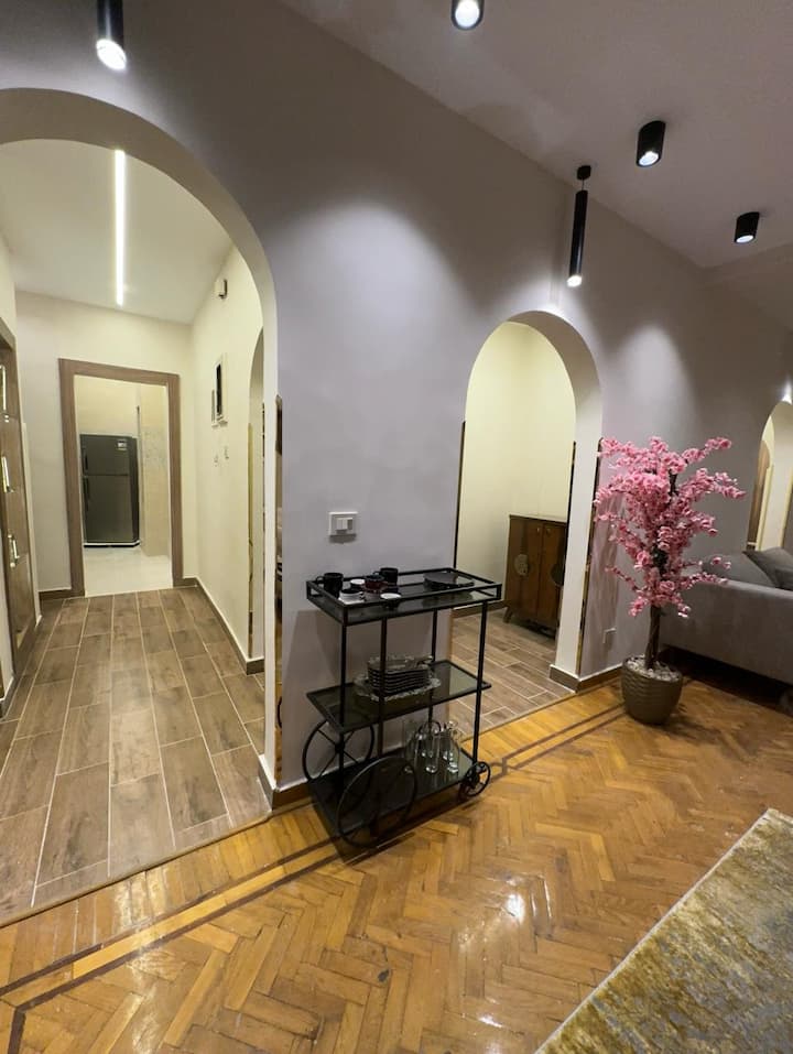 Luxurious Apartment In Zamalek - Cairo