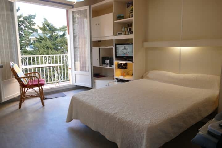 Studio (Grand Calme) Face Parc - Amélie-les-Bains-Palalda