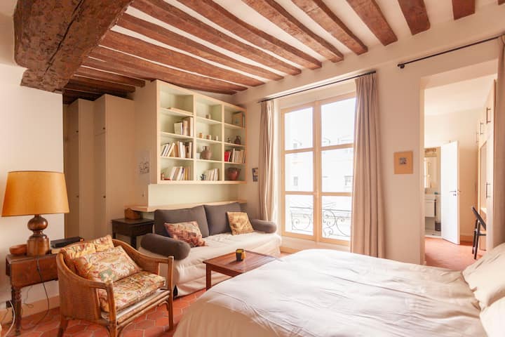 Appartement De Charme Rue Mazarine - Pariz