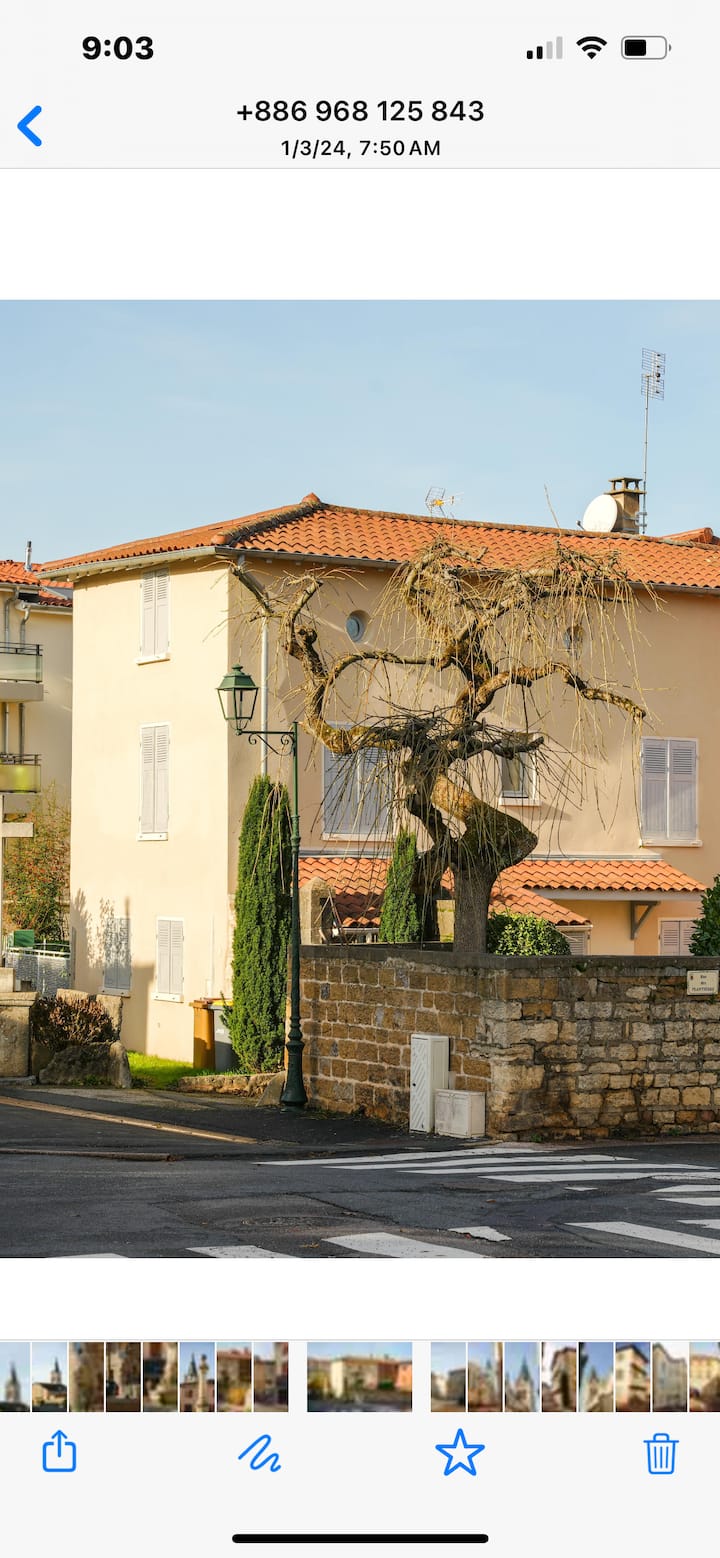 Village Center Family Home - 30 Min. From Lyon - Massieux