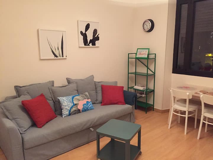 Appartement T2 Coeur De Lourdes - Lourdes