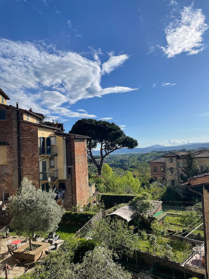 Appartamento - Paolo Mascagni-centro Storico - Siena