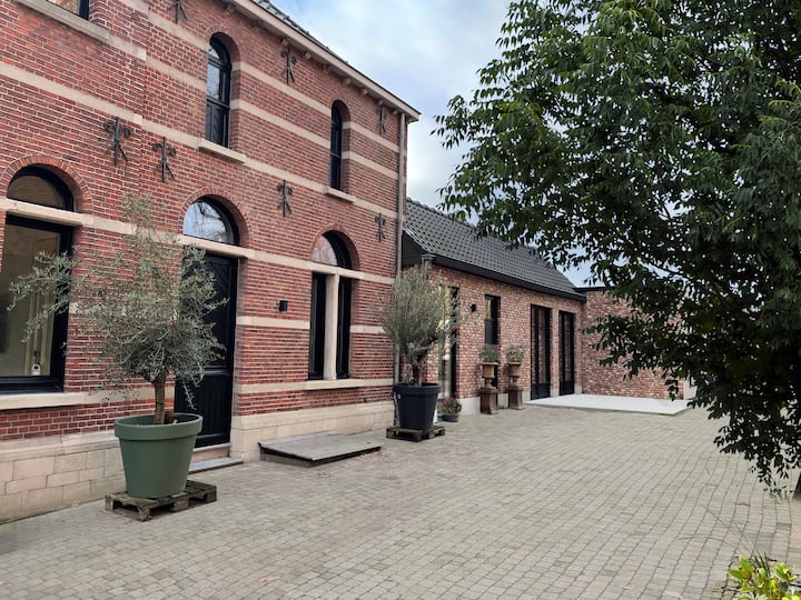 De Wilden Ezel - Dessel