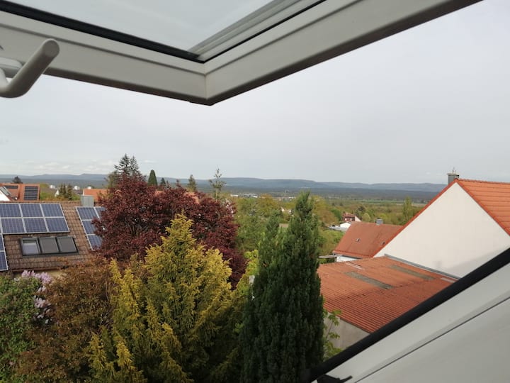 Nest Mit Rundumblick - Bamberg