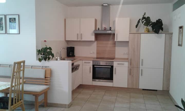 Ferienwohnung Spitzenstein - Obertilliach