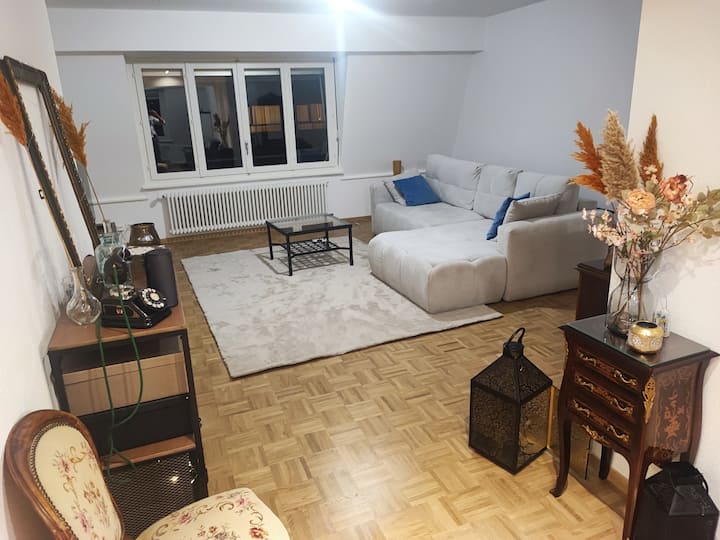 Chambre Près De La Gare Et Du Lac. - Geneva