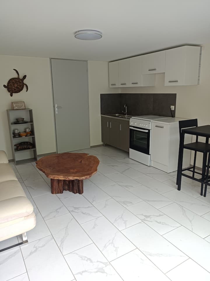 Location Appartement D'hôtes - Saintes