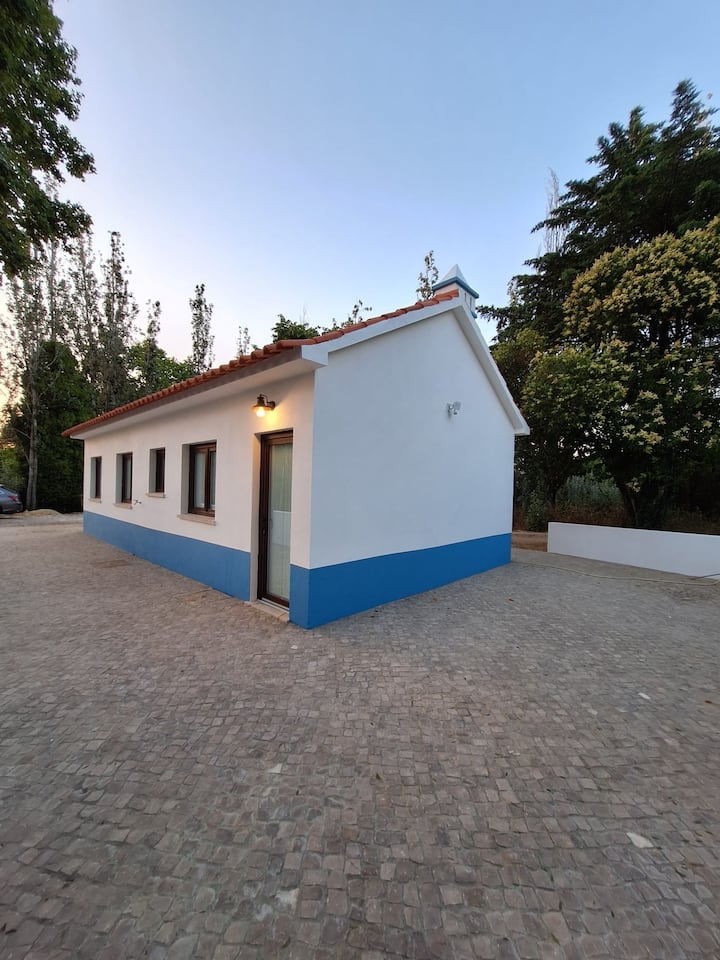 Quinta Vila Adelaide - Alentejo