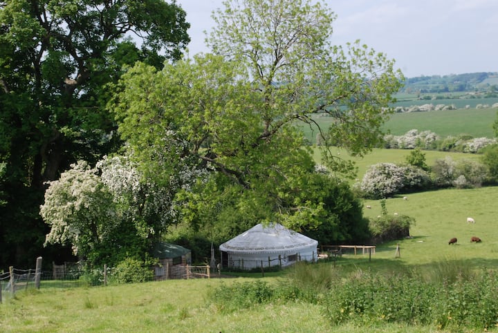 Bramble Yurt At Love2yurt - Banbury
