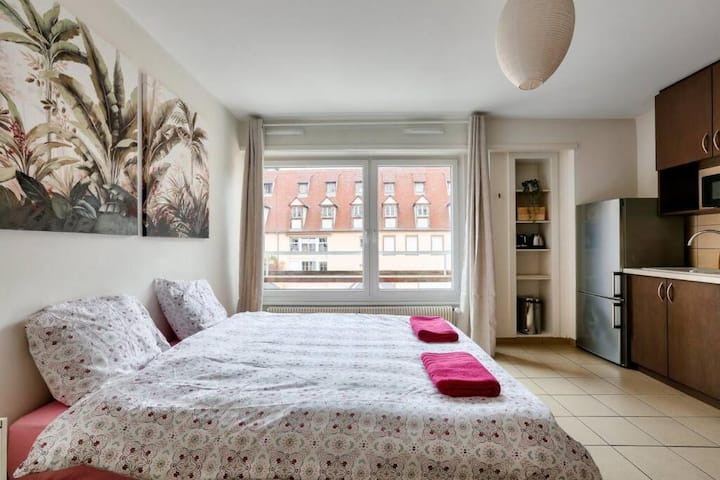 Cocon En Plein Centre - Strasbourg