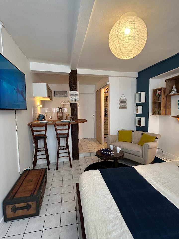 Logement Cosy Hypercentre - Châteauroux