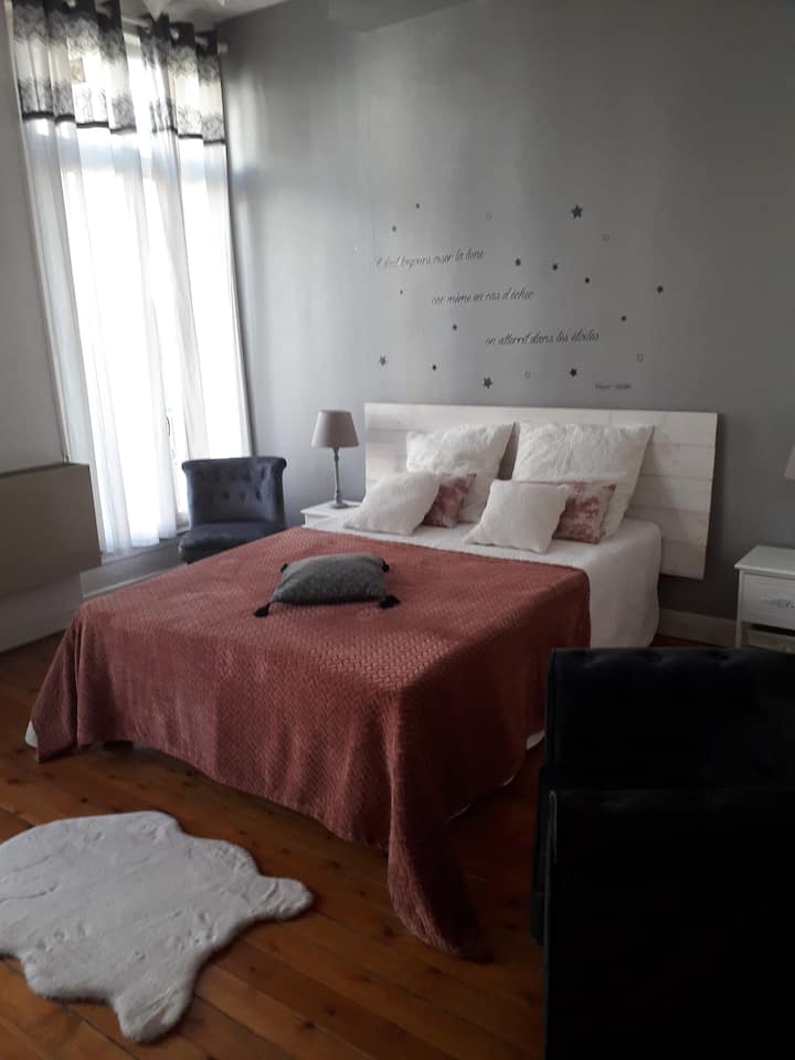 Bel Appartement Lumineux - Cusset