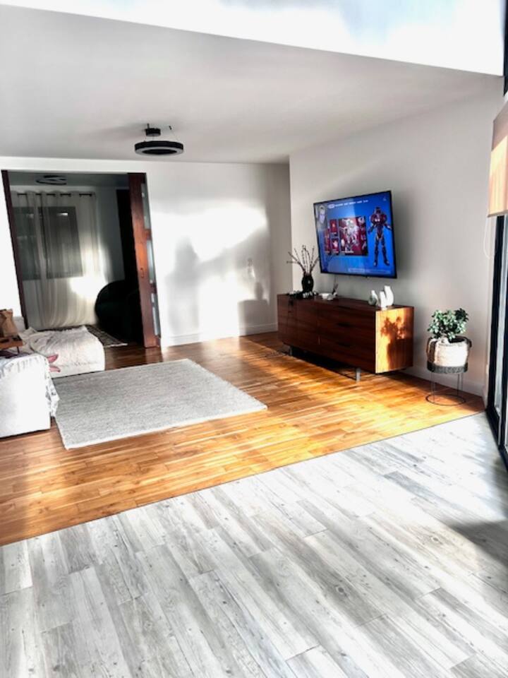 Maison Moderne - Saint-Vincent-de-Tyrosse