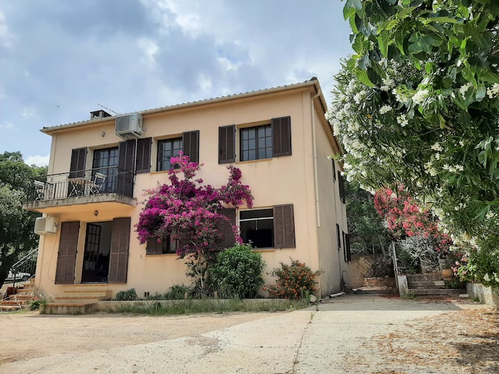 Rez De Chaussée De Villa Proche De La Mer - Korsika