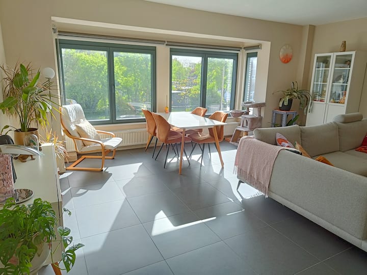 Warme Kamer In Gent - Gand