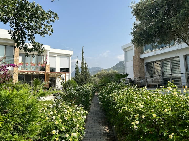 Girne / Zeytinlik Havuzlu - Deniz Manzaralı Teras - Girne