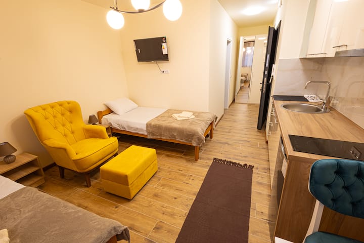 Villa Snježana, Apartment 6 - Pančevo