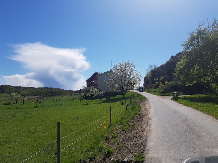 Håle ØVergård - Hunnebostrand