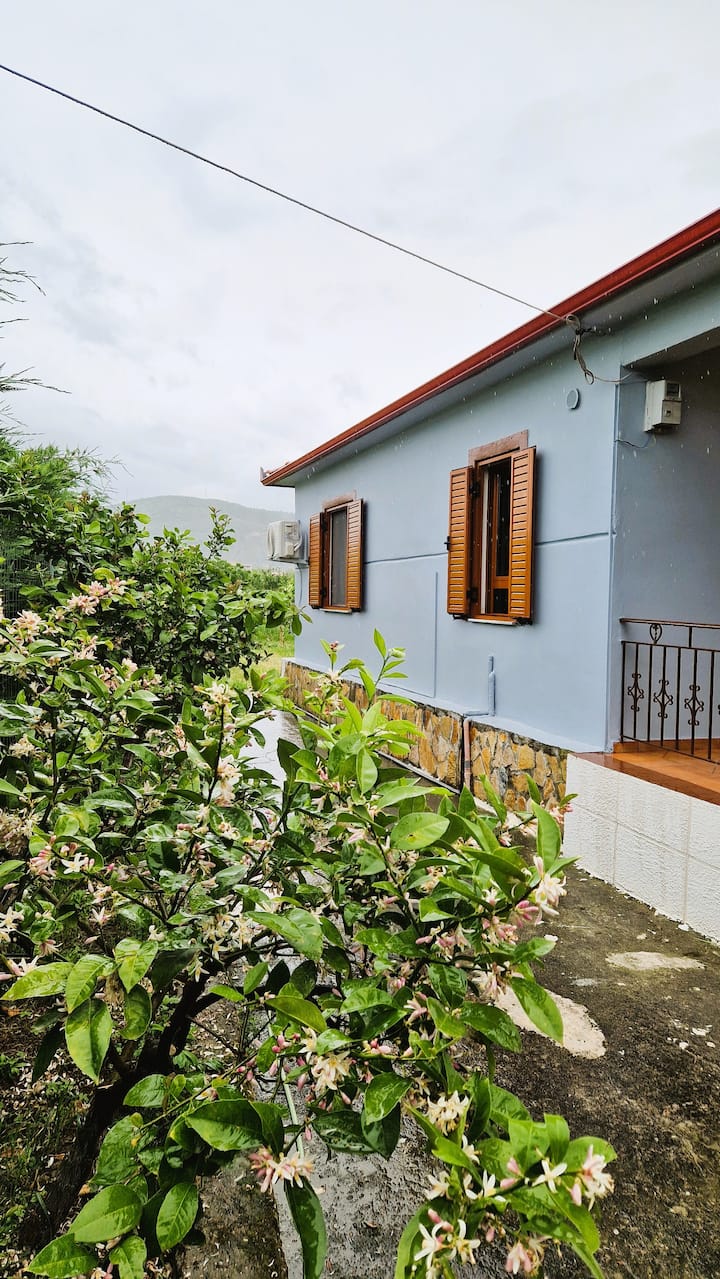 Kozi's Authentic Albanian Home - Berat