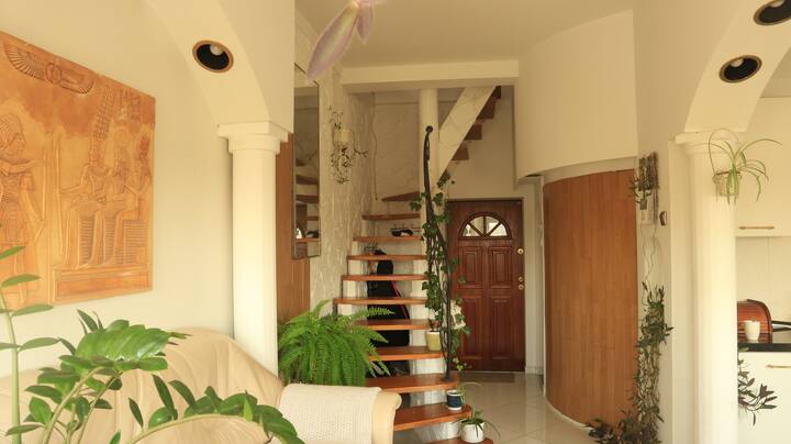 Amazing Affordable Apartment - Katowice