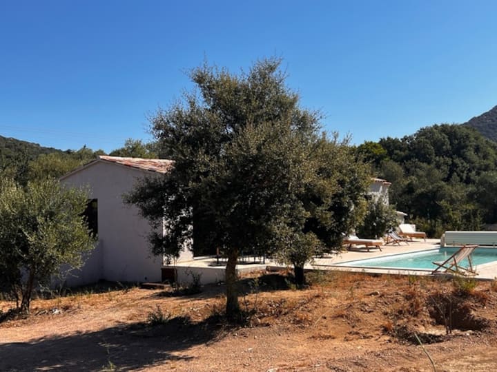 Villa Ena - Figari
