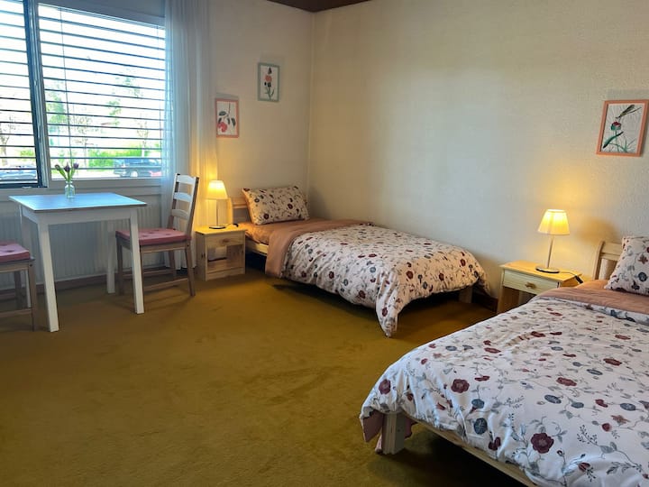 Komfortables, Ruhiges Zimmer - Lucerne