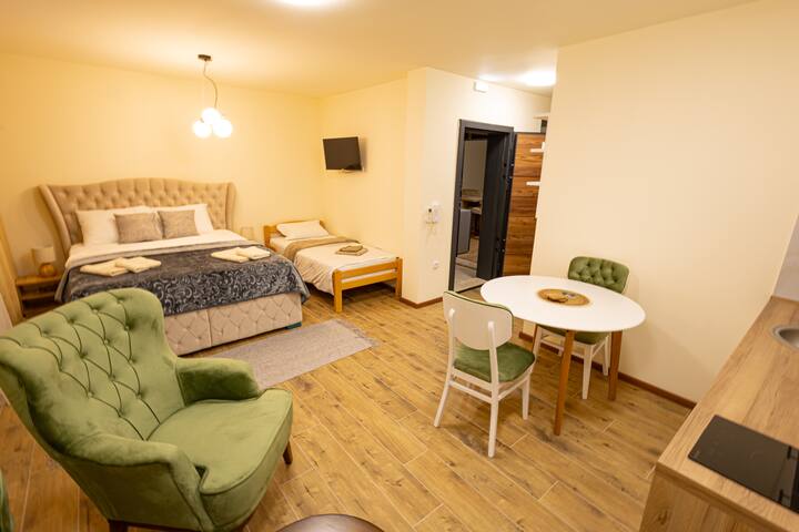 Villa Snježana, Apartment 13 - Pančevo