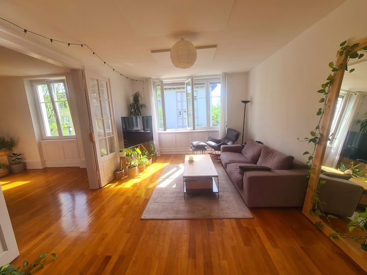 Appartement Lumineux · Colmar - Colmar