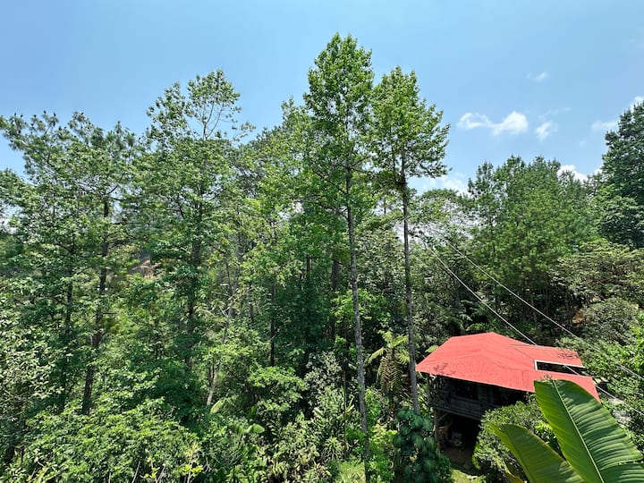 Cabaña Beraca - San Cristóbal Verapaz