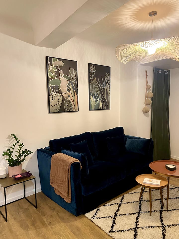 Appartement De Charme Au Centre Historique D’aix - Aix-en-Provence