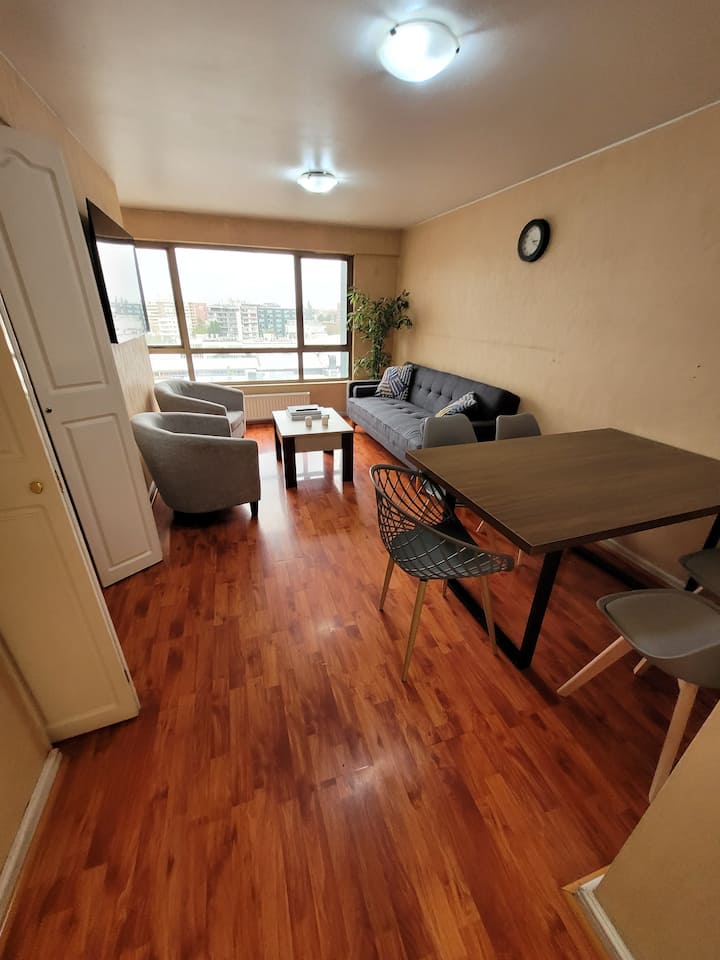 06. Cozy Apart. 2 Rooms, Parking-p Valdivia Stat - Providencia