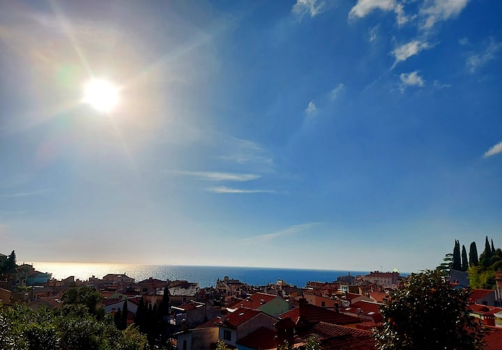 Apartma Sulle Scale - Piran