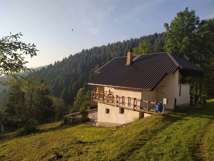 Chalet Alpino Immerso Nel Verde - Enego