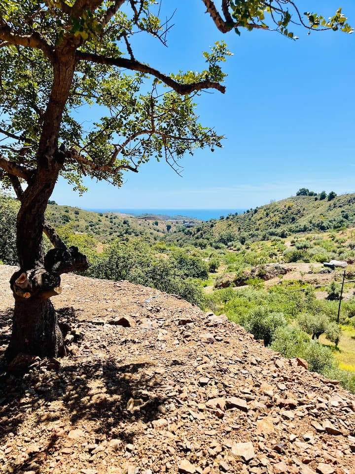 Malaga City Caravan Touring And Tent Pitches - Málaga